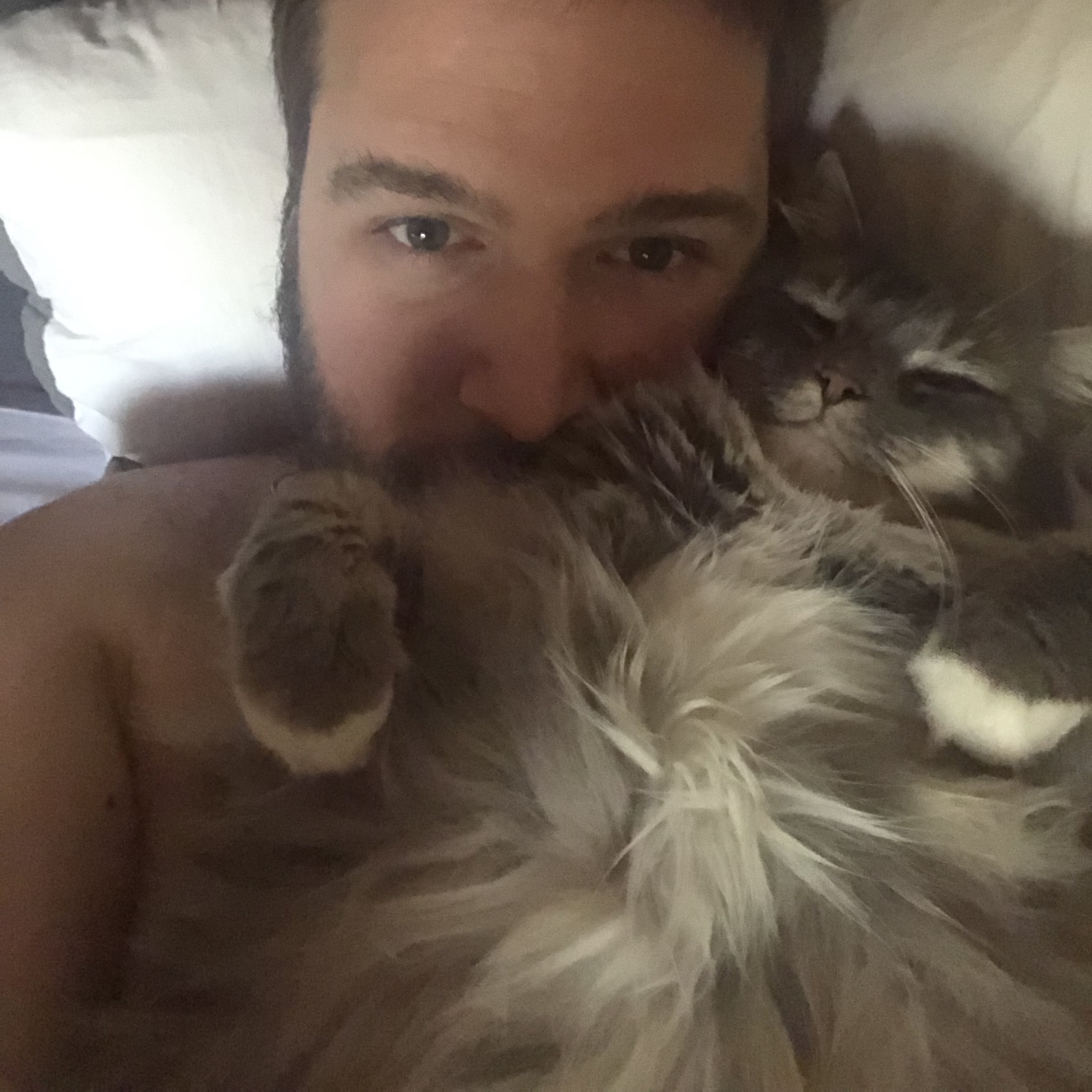 ContraPoints on Beauty, Peeved by Pinker, And Dave Rubin’s Battle of Ideas – Stephen Bradford Long