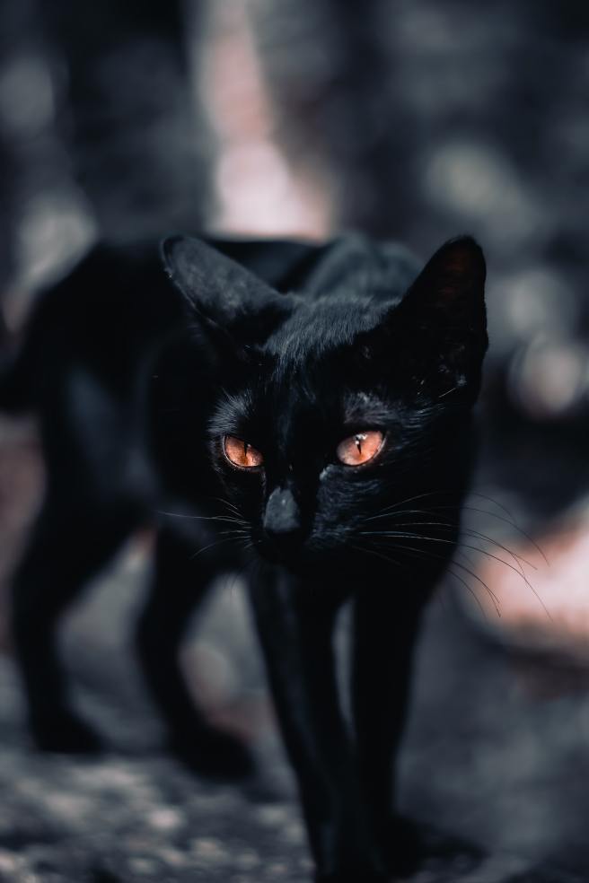 Sacred Tension: Compassionate Satanism with Lilith Starr – Stephen ...
