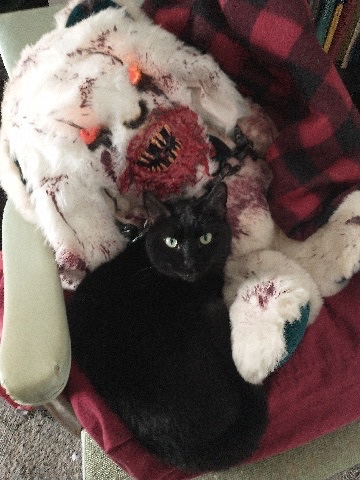 Sunday Curiosities: Freedom of Speech, Freedom to Offend – Stephen Bradford Long