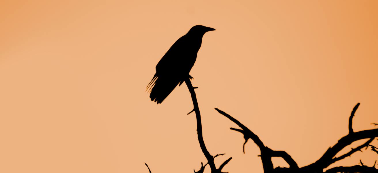 Sacred Tension: Derrida, The Exorcist, and Losing Faith | David ...