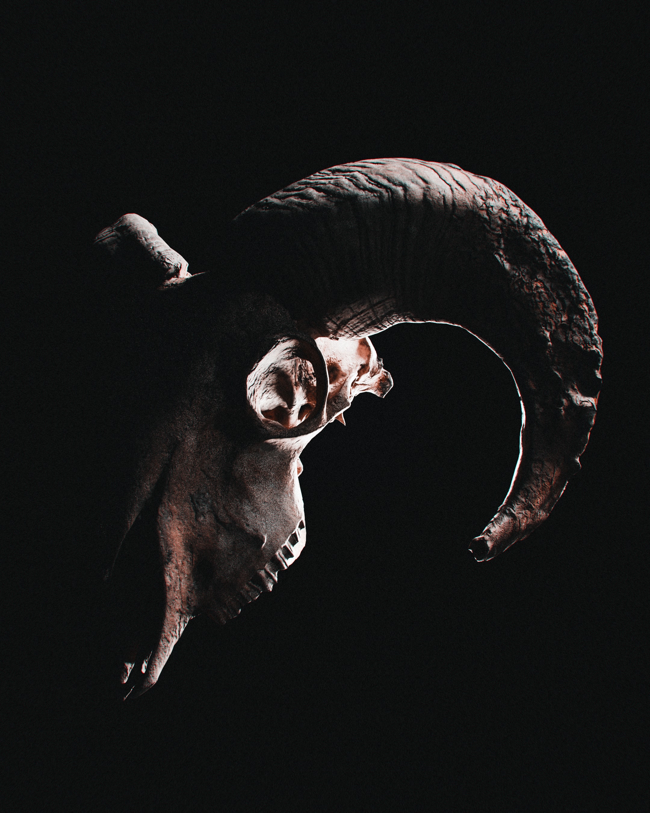 Stephen Bradford Long – Religion, Esotericism, Skepticism